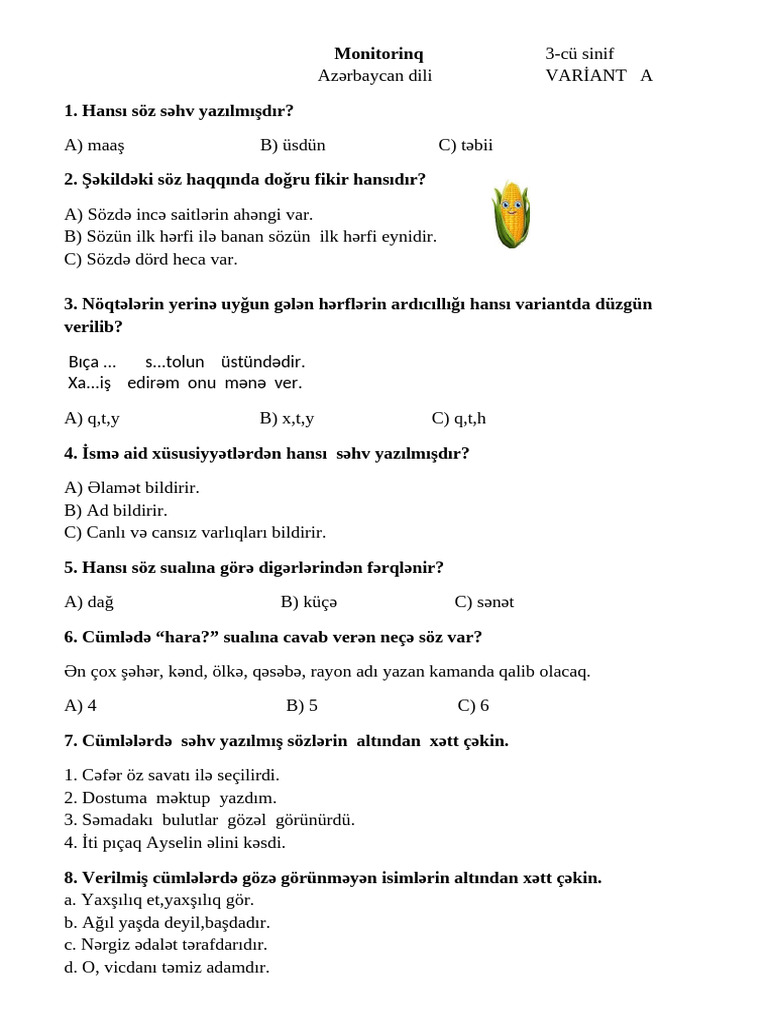 Monitorinq 3 Sinif 2025 Variant A | PDF