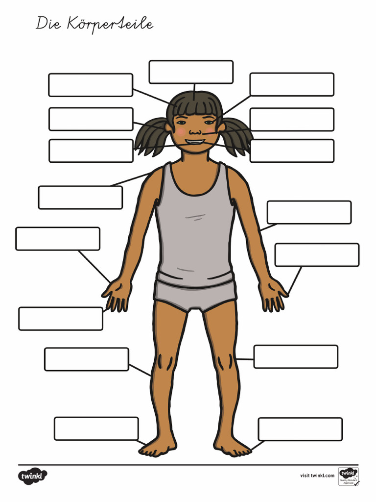 De T T 23476 Body Parts Labelling Activity German - Ver - 2 | PDF