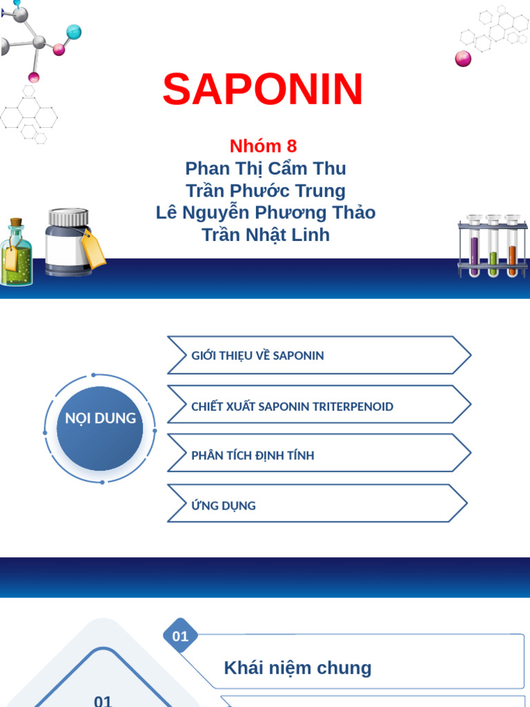Saponin - Nhóm 8 | PDF