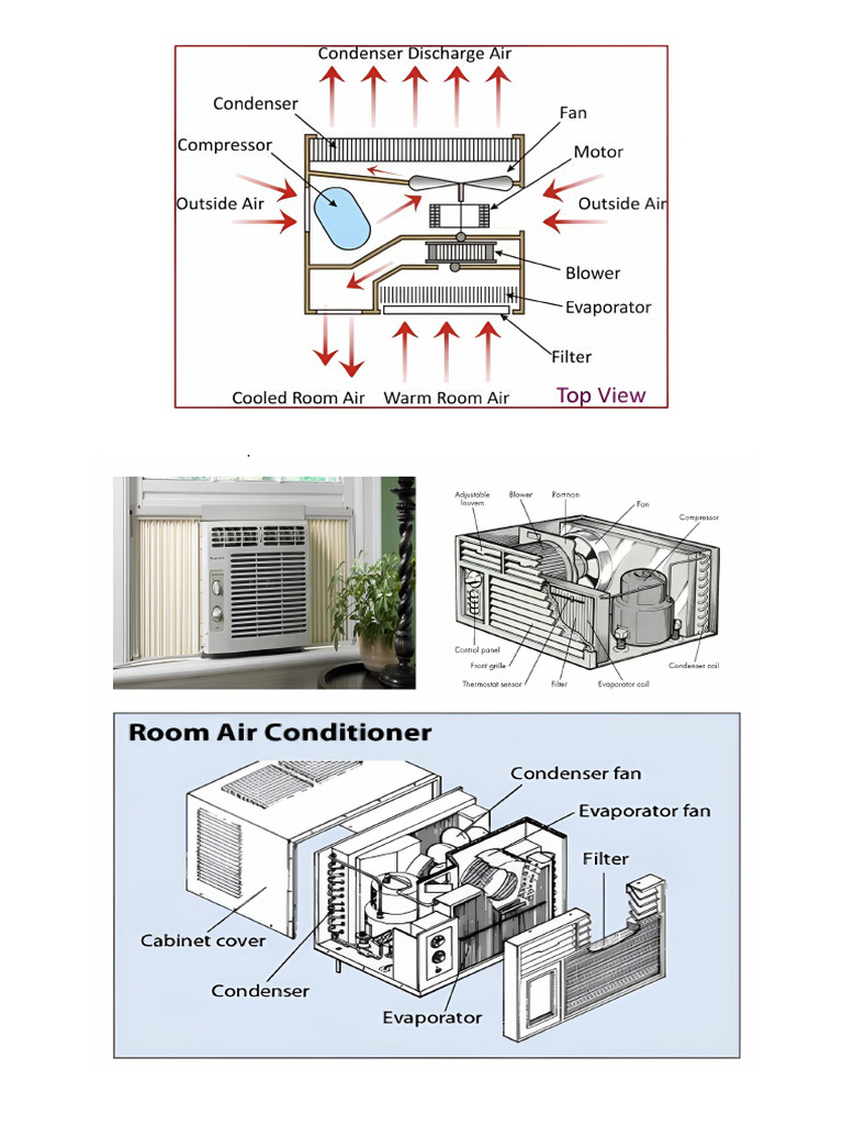 RAC PR 12 &13 Print | PDF