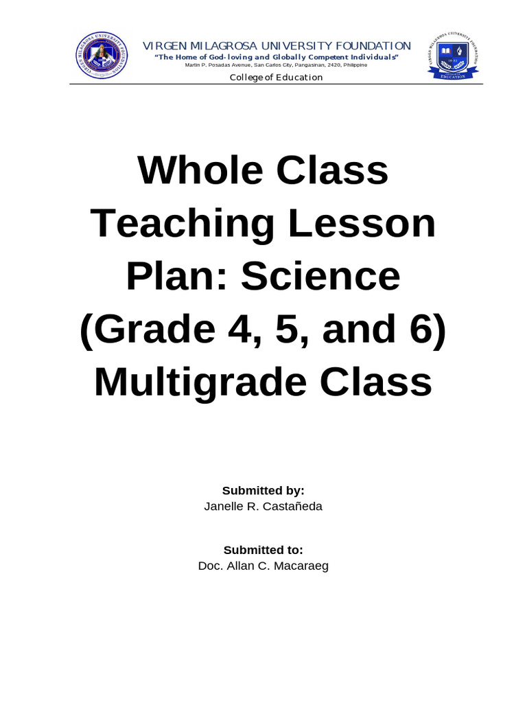 Lesson Plan in Elective 1 Multigrade | PDF