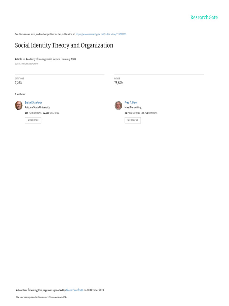 Social Identity Theory in Organizations | PDF