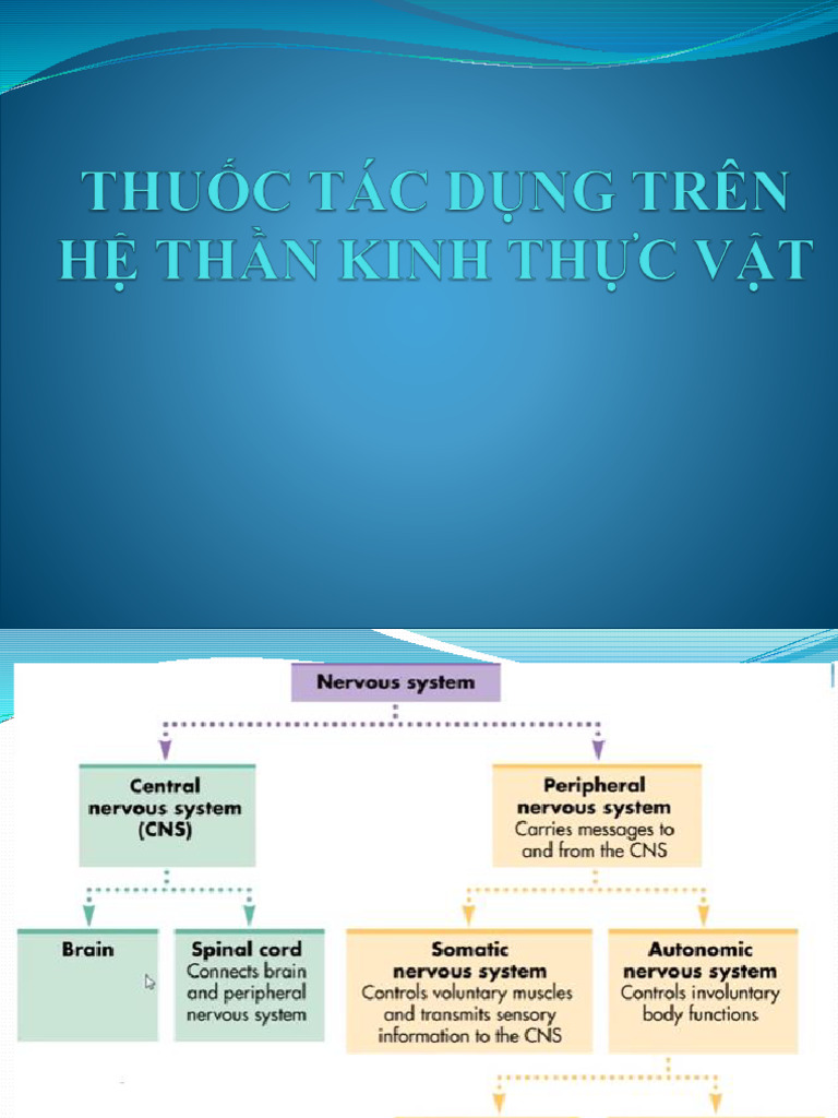 Thuốc tác dụng trên hệ TKTV | PDF