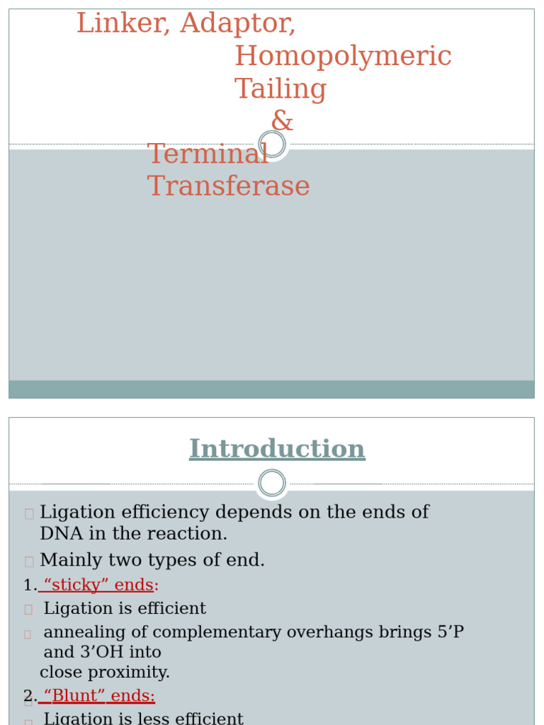 Adapters and Linkers | PDF | Dna Ligase | Molecular Cloning