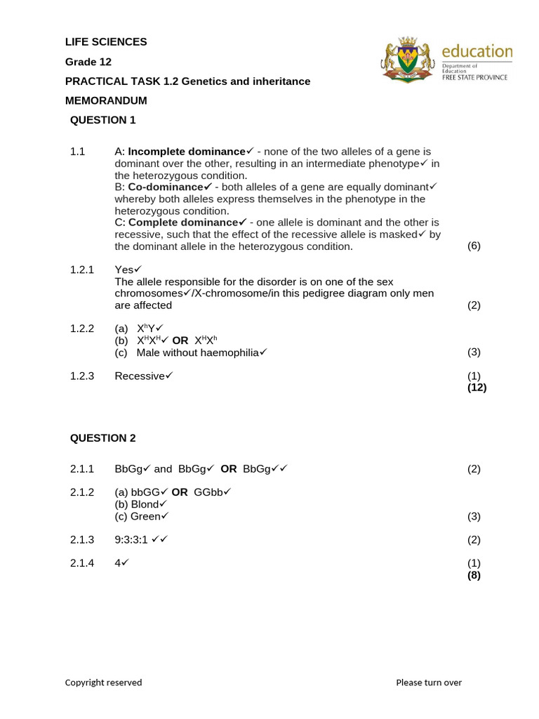 LS GR 12 Prac 1.2 May 2019 ENG MEMO | PDF | Allele | Dominance (Genetics)