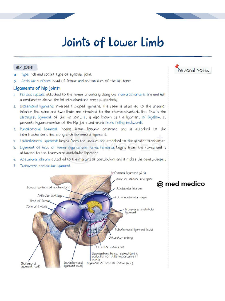 Joints of Lower Limb PDF | PDF