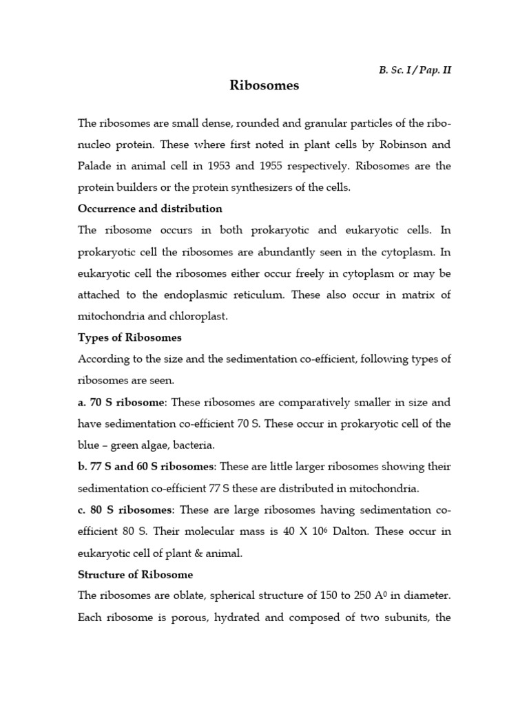 Ribosomes | PDF | Ribosome | Cell (Biology)