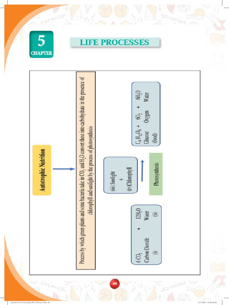 CBSC 10 Class Science Activity Book-31-50 | PDF