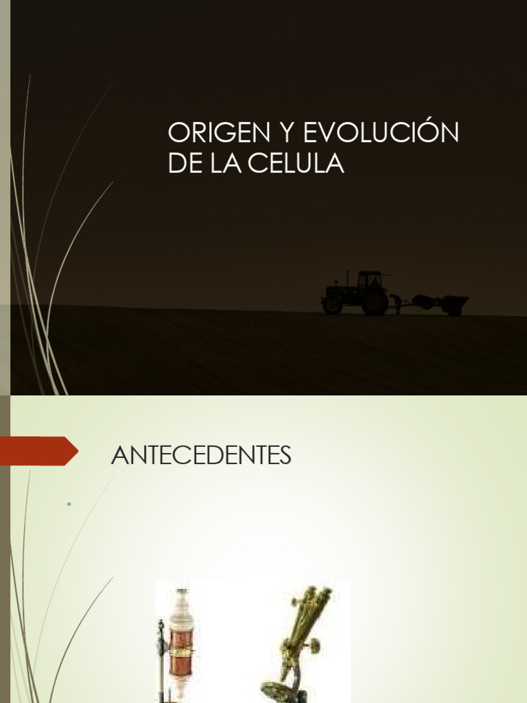 Origen y Evolución de La Celula | PDF | Biología Celular) | Organismos