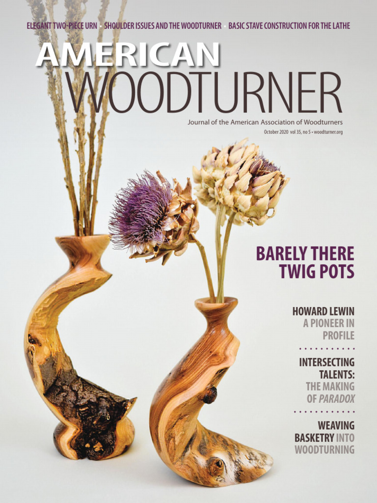 Woodturning Techniques and Inspirations | PDF | Expense | Revenue