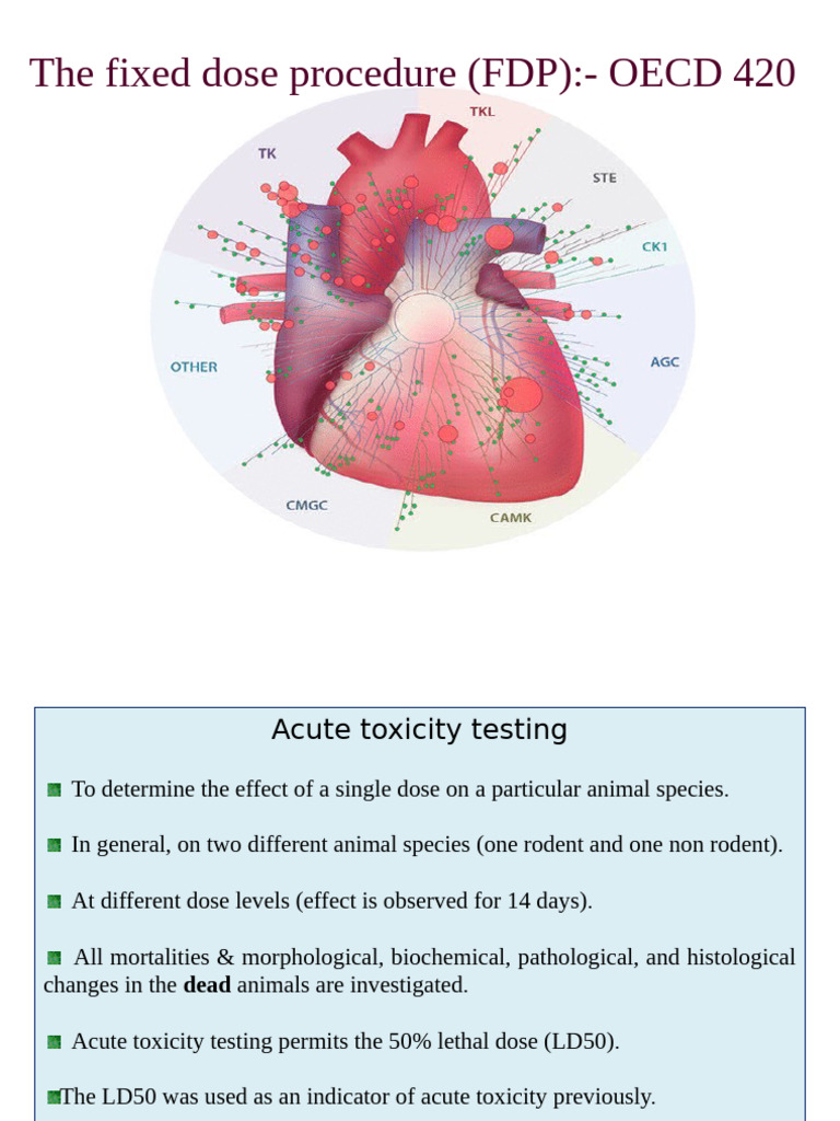 Acute Toxicity Studies | PDF | Toxicity | Clinical Medicine