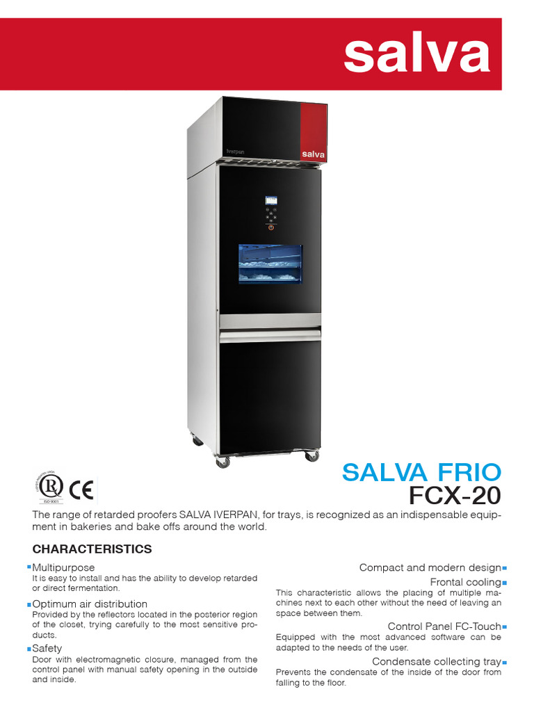 FCX | PDF