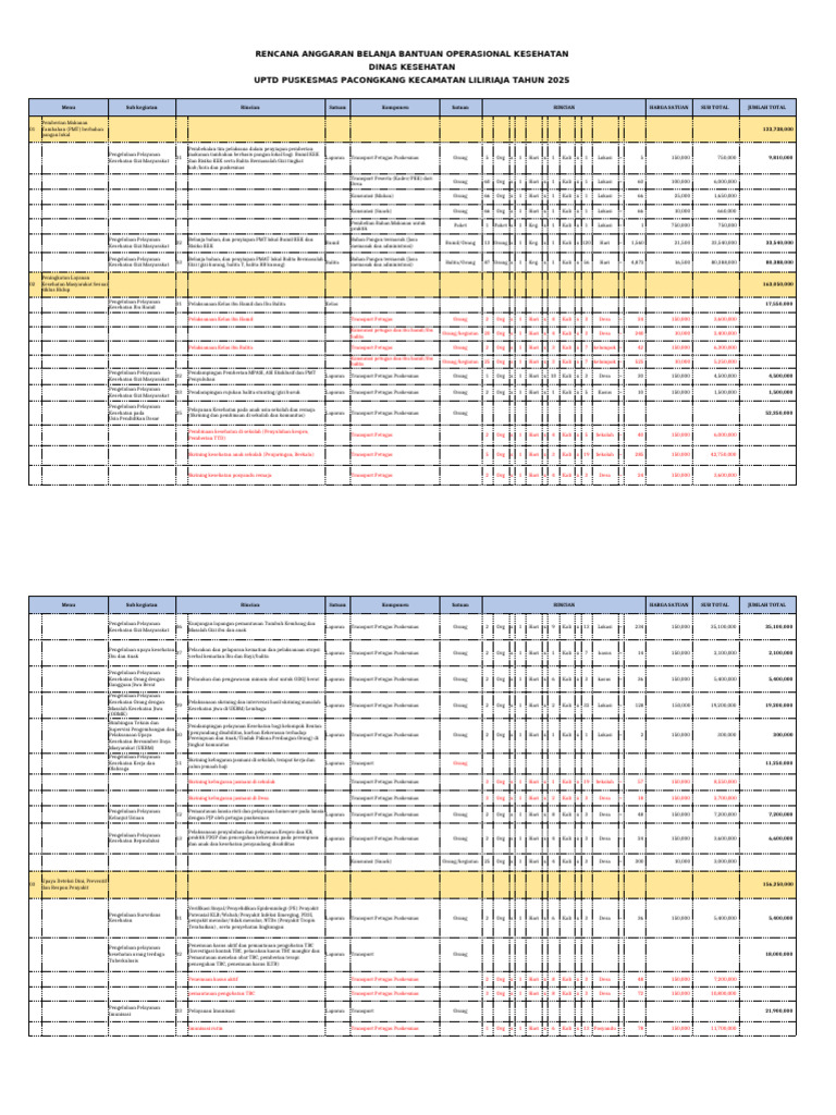 Rab Bok PKM Pacongkang Sipd | PDF