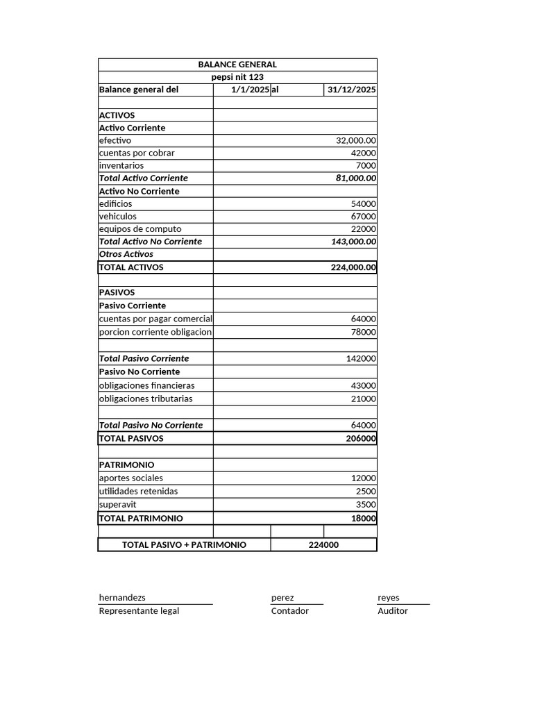 Balance General Pepsi 2024-2025 | PDF | Gobierno corporativo | Hoja de ...