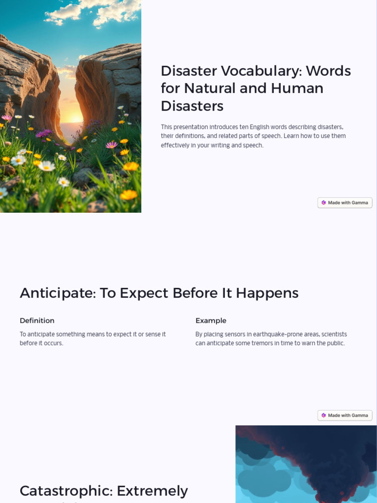 Disaster Vocabulary Words For Natural and Human Disasters | PDF