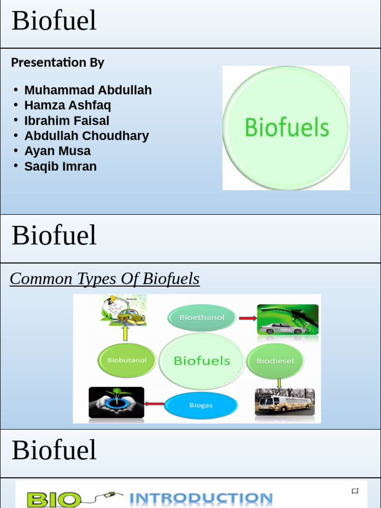 Physics Biofuel | PDF