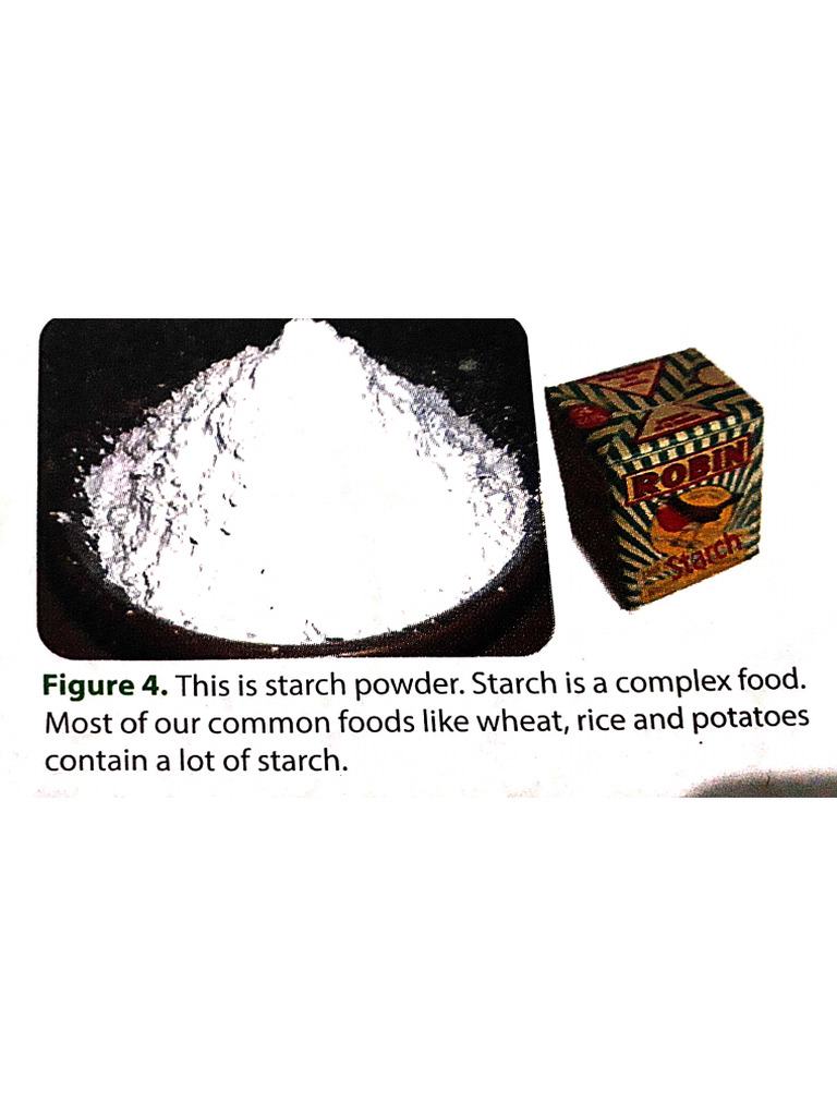 Starch | PDF