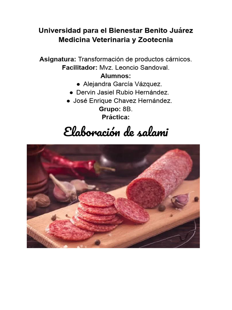 Salami | PDF