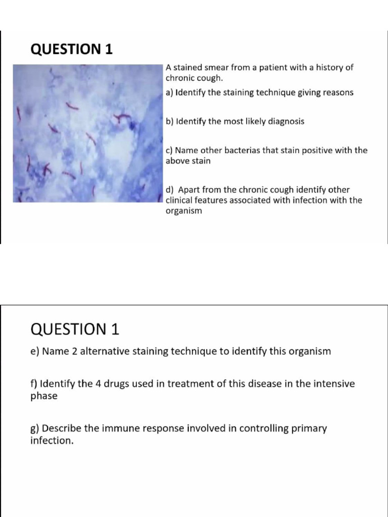 MicroB Spot Ques Paper Complete - 250505 - 064714 | PDF