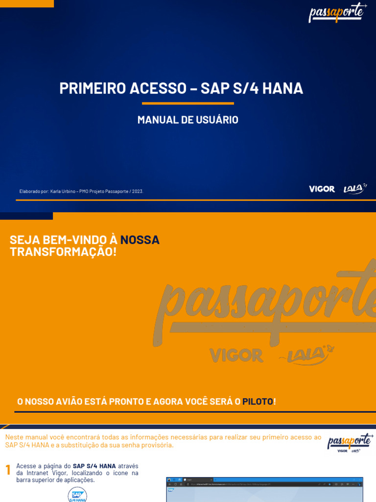 Guia de Primeiro Acesso ao SAP S/4 HANA | PDF | Senha