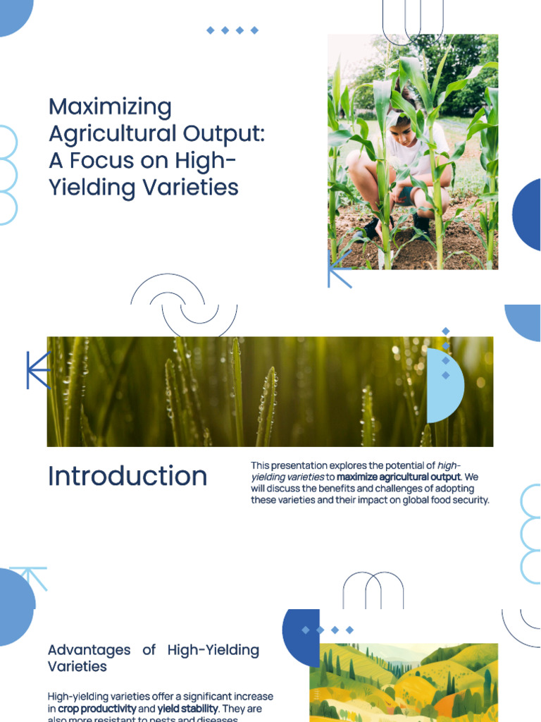slidesgo-maximizing-agricultural-output-a-focus-on-high-yielding-varieties-20240506042356FytP | PDF