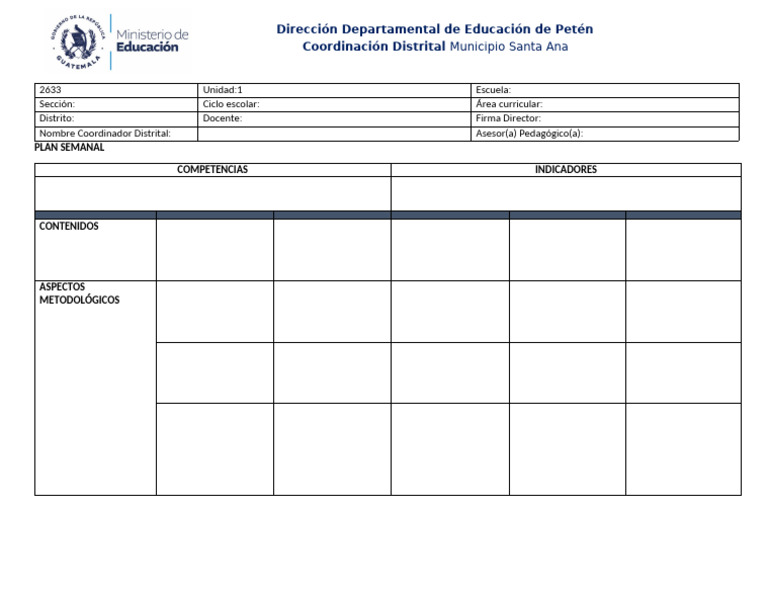 Formato para Planificacion | PDF