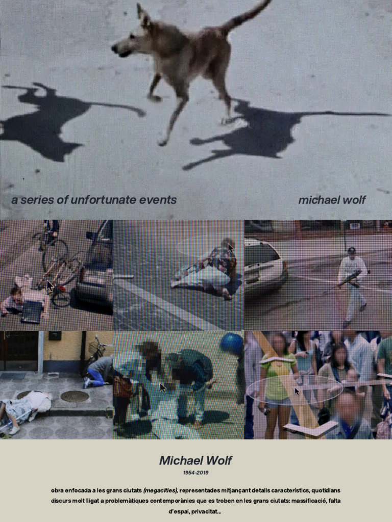 Michael Wolf | PDF