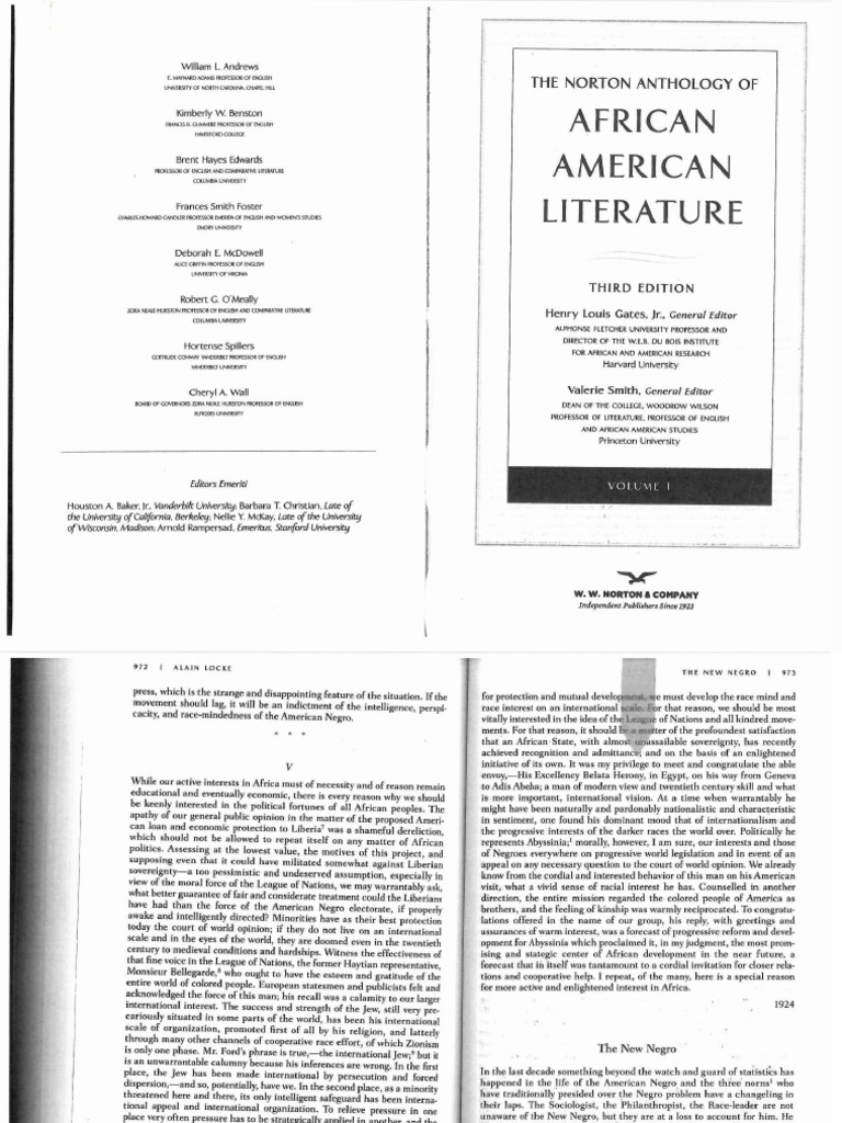 Alain Locke - The New Negro | PDF