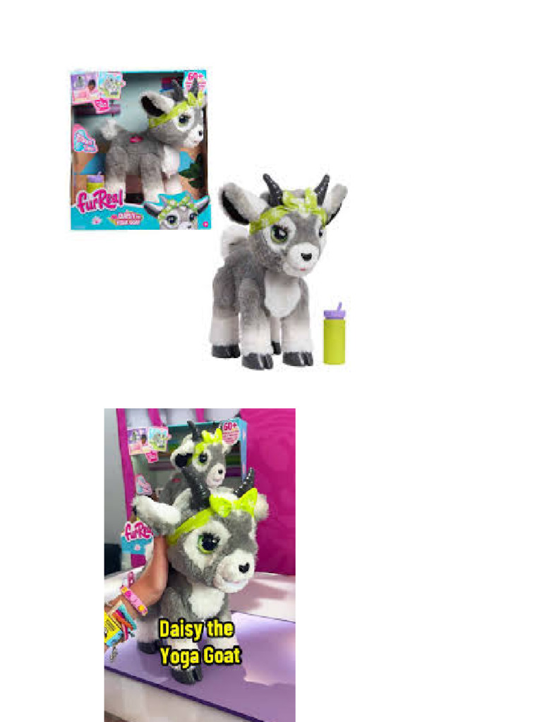Daisy The Yoga Goat | PDF