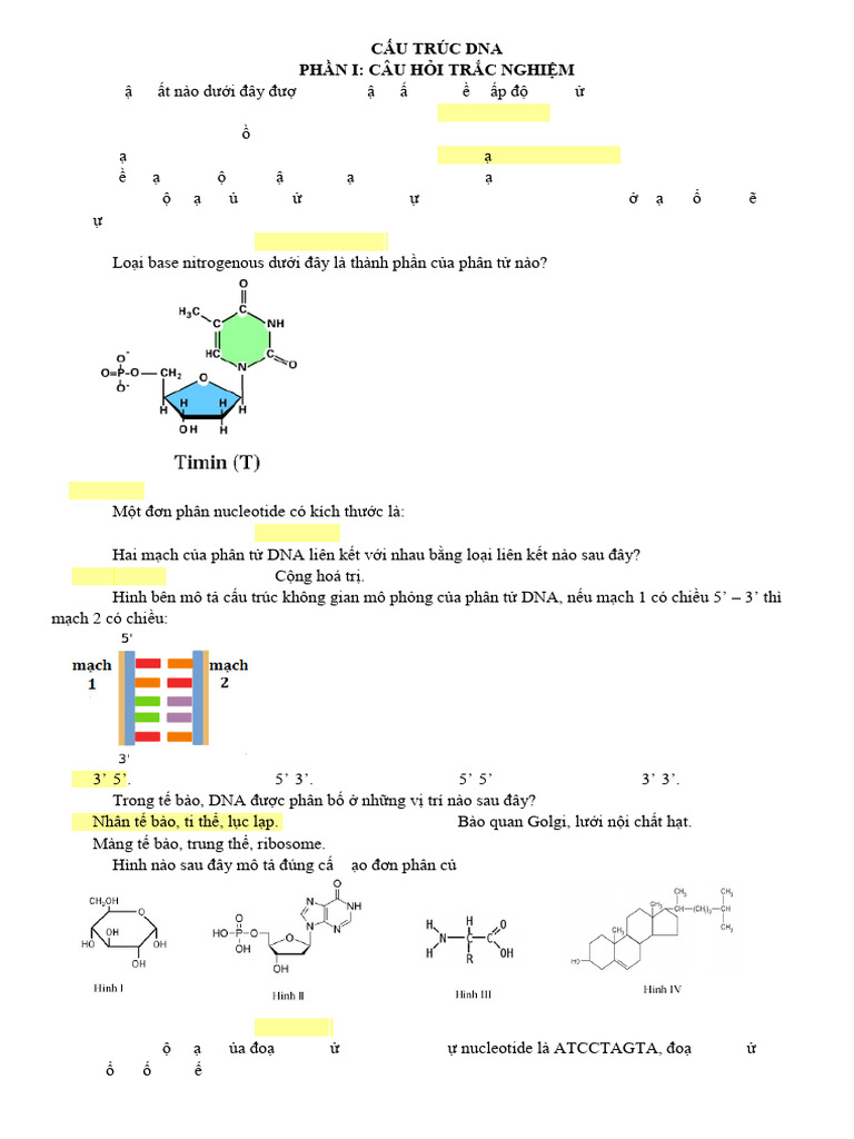 TRẮC NGHIỆM DNA VÀ TÍNH TOÁN DNA | PDF