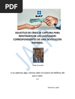 DC1 STPS Formato Word Editable | PDF