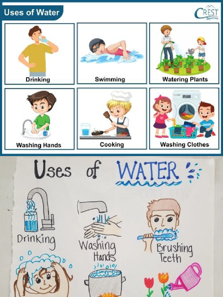 Uses of Water | PDF