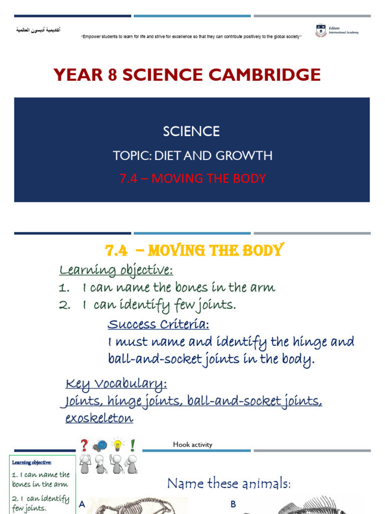 Understanding Joints and Muscles | PDF | Arm | Elbow