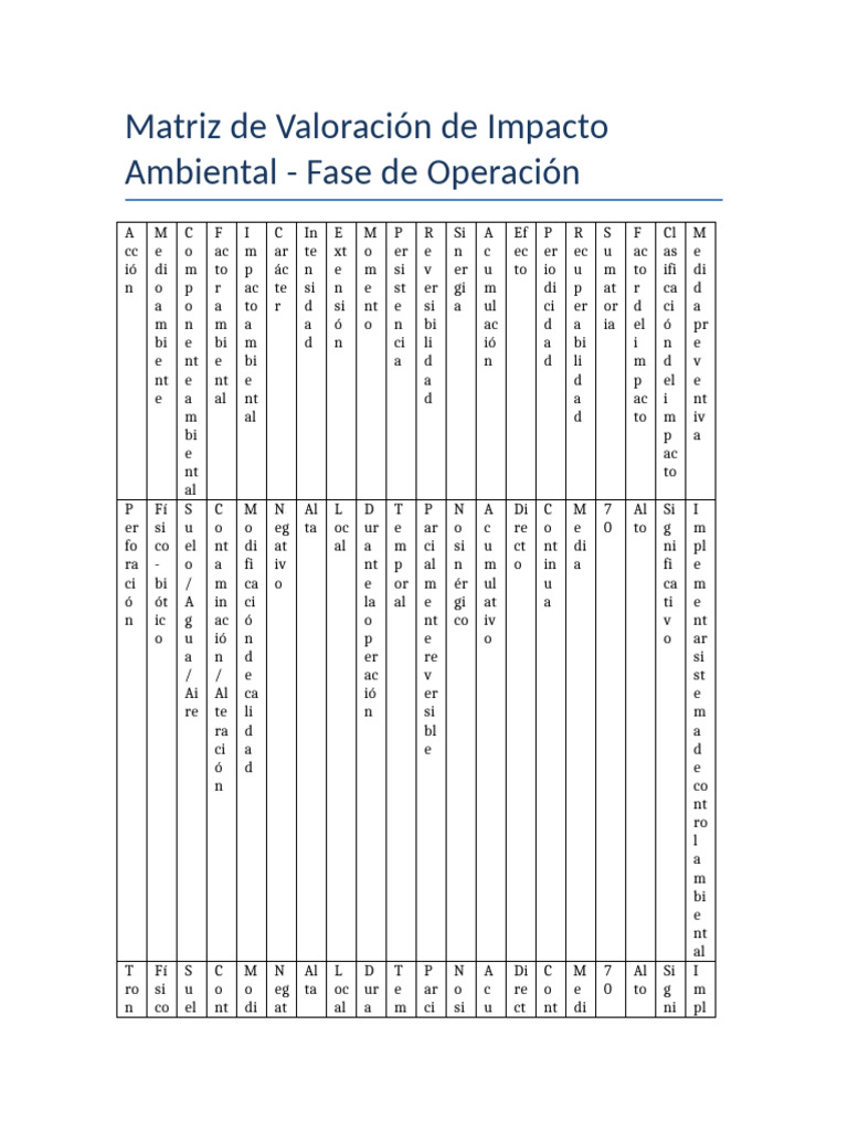 Matriz Valoracion Operacion | PDF