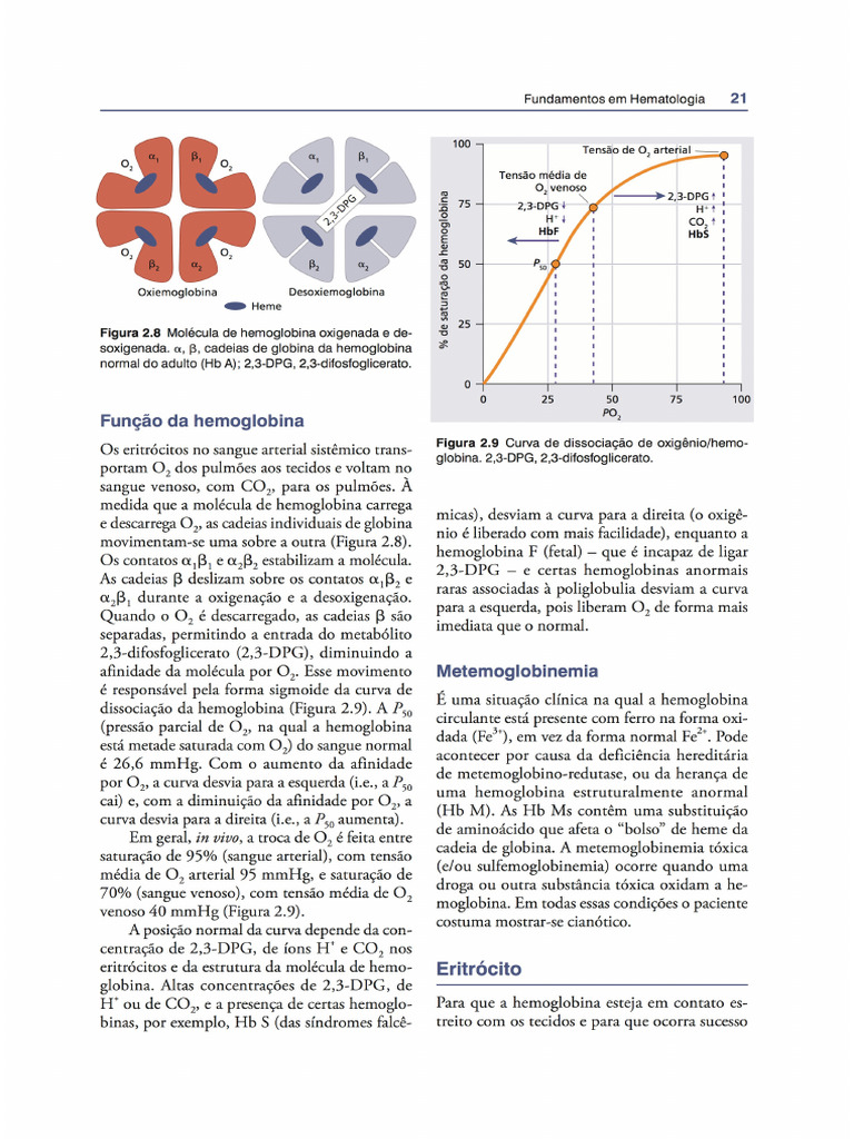 Desvio de Lubering-Rapoport - Hematologia - Fundamentos em Hematologia ...
