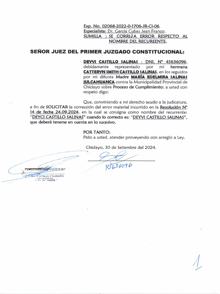 Salinas Julcahanca María Edelmira (2068-2022) | PDF