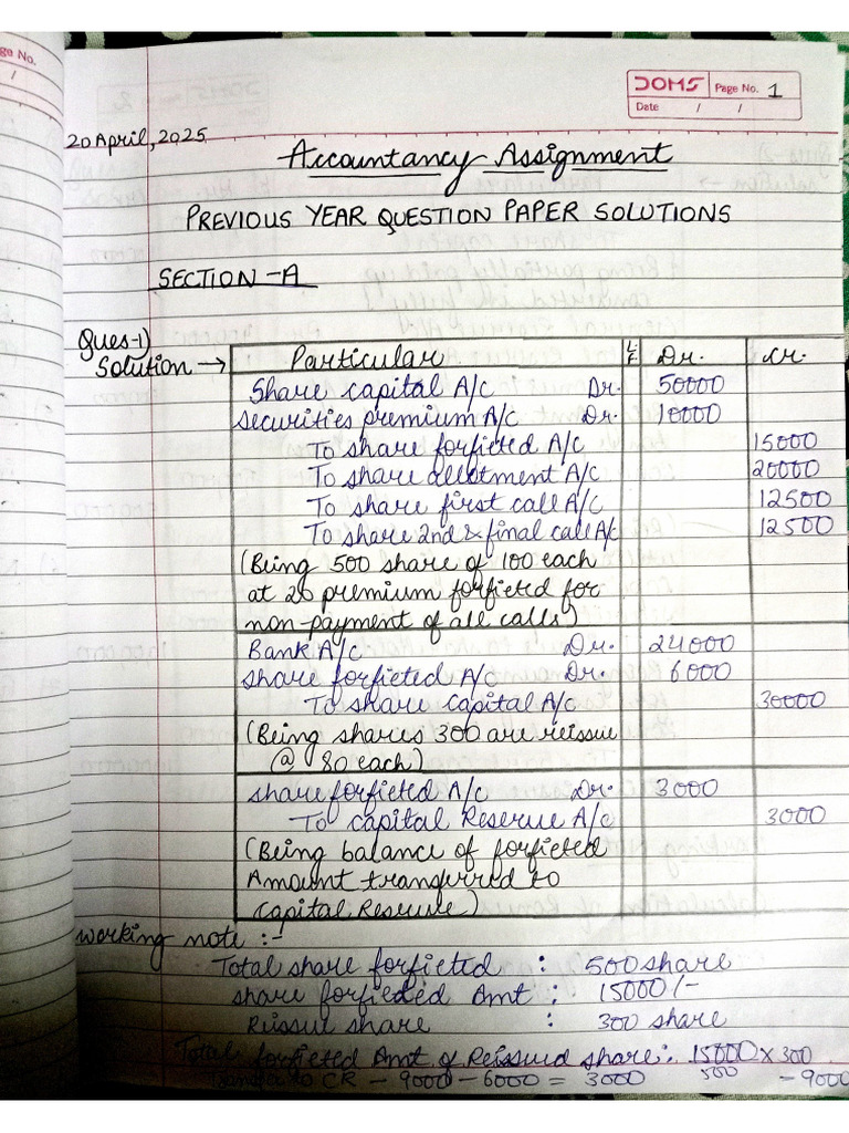 Accountancy Assignment | PDF