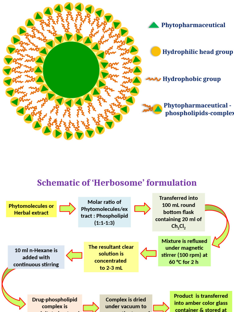 Phytosome Preparation and Structure Guide | PDF | Chemistry