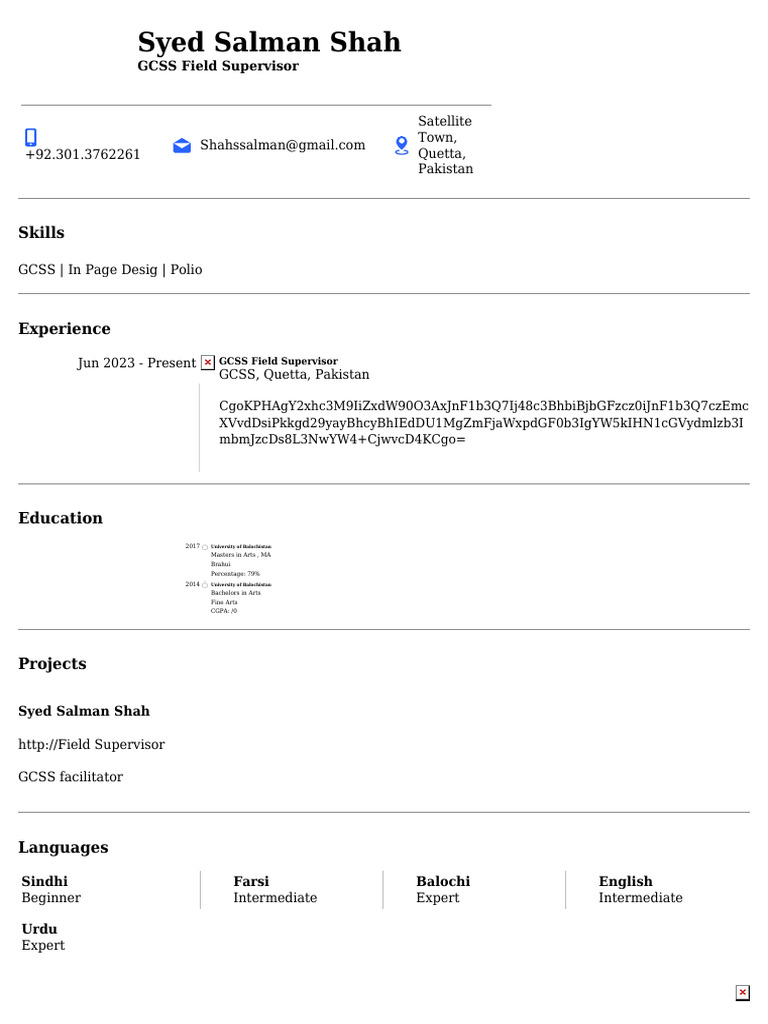 Syed CV | PDF