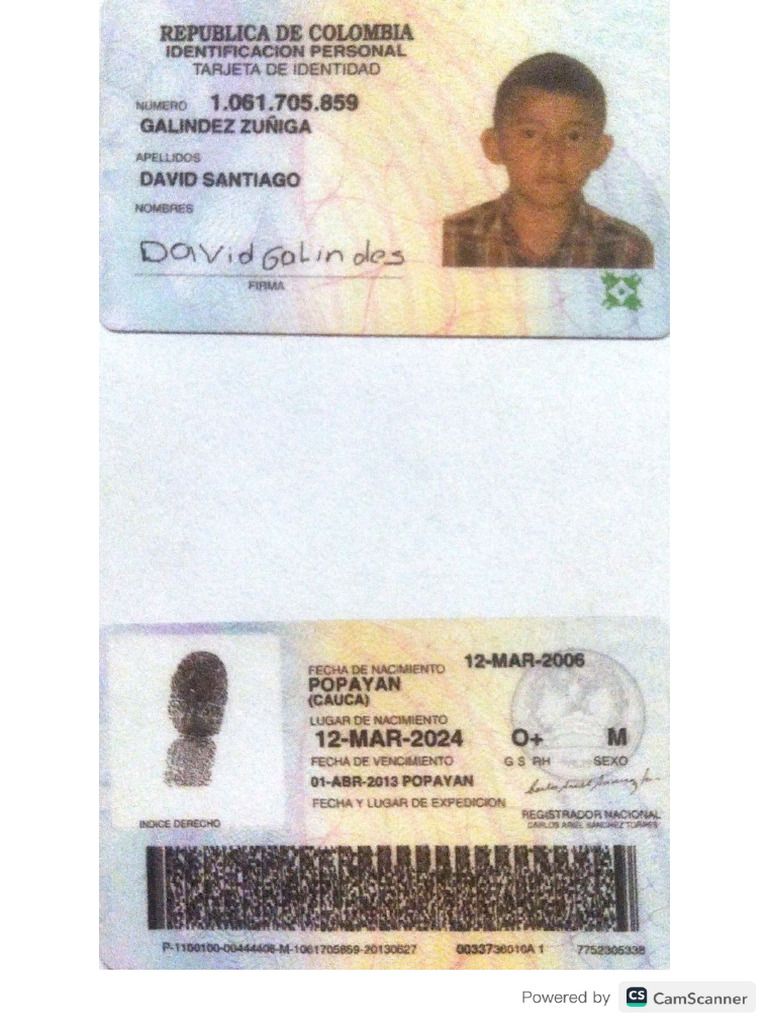 Documento de Identidad | PDF