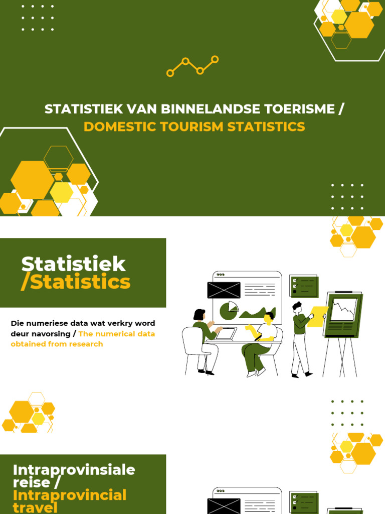 Domestic Tourism Statistics Overview | PDF
