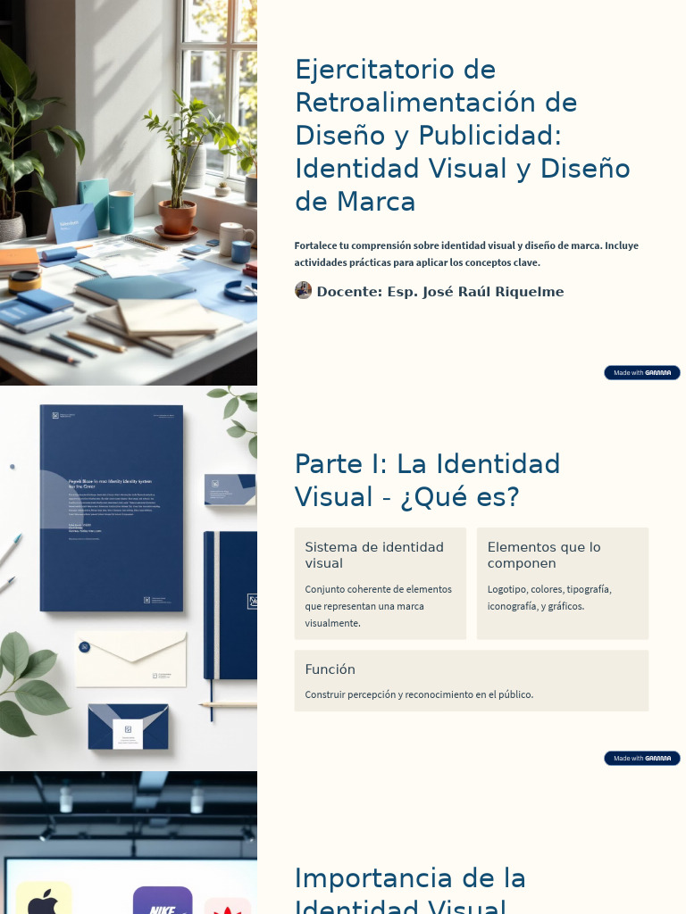 Ejercitatorio de Retroalimentacion Identidad Visual y Diseno de Marca ...