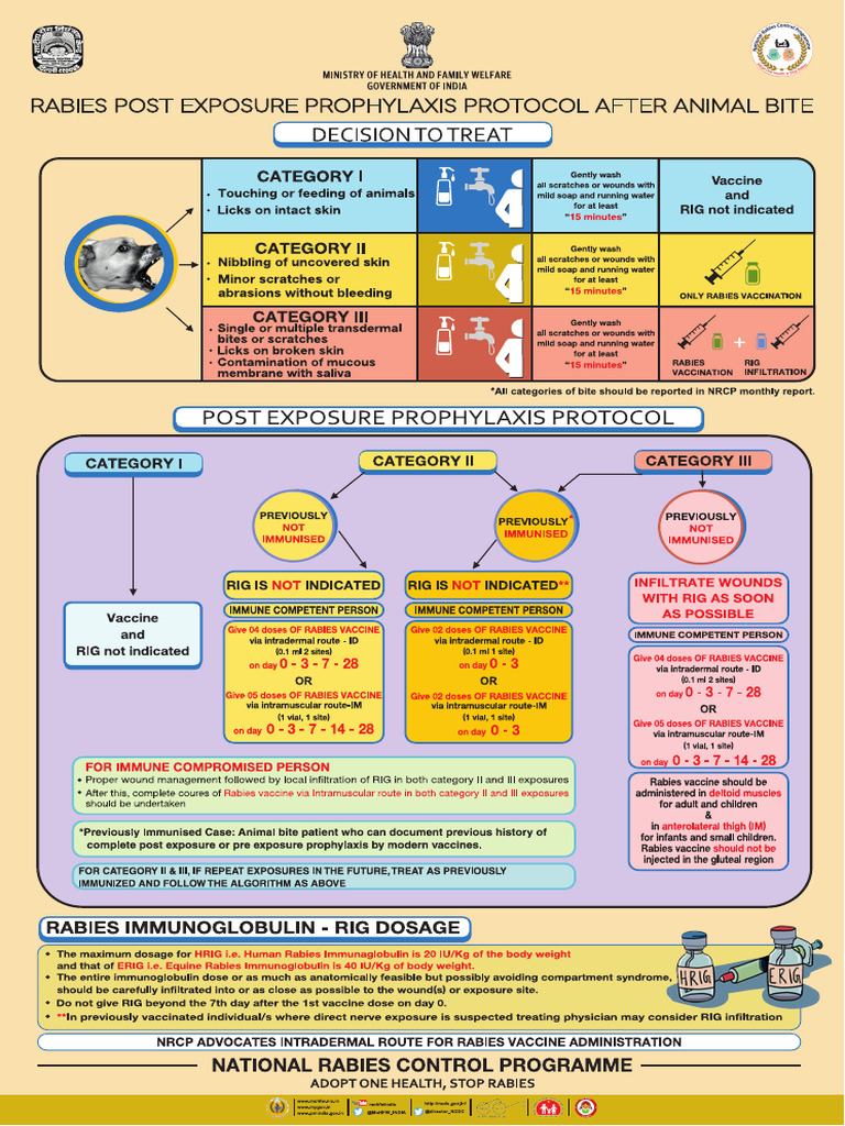 Rabies Poster Categorization | PDF