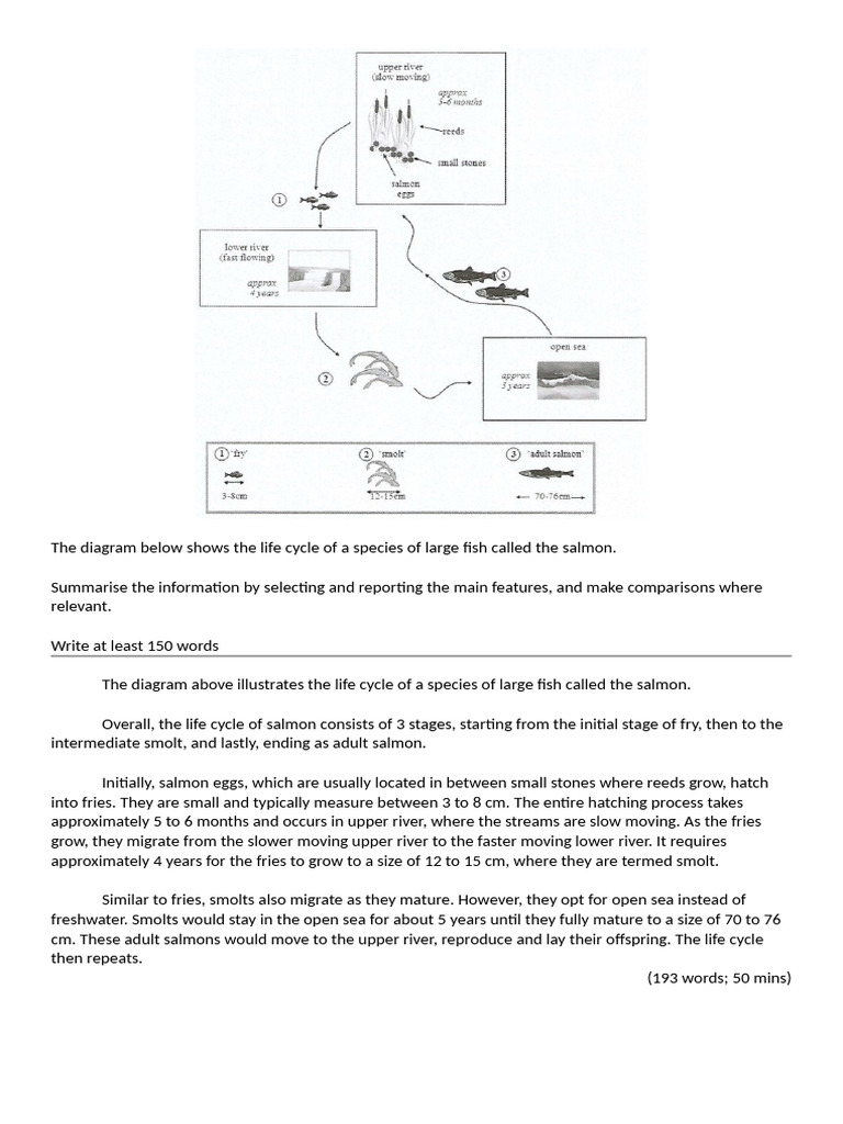 Exercise - Salmon, Happiness | PDF | Happiness | Salmon