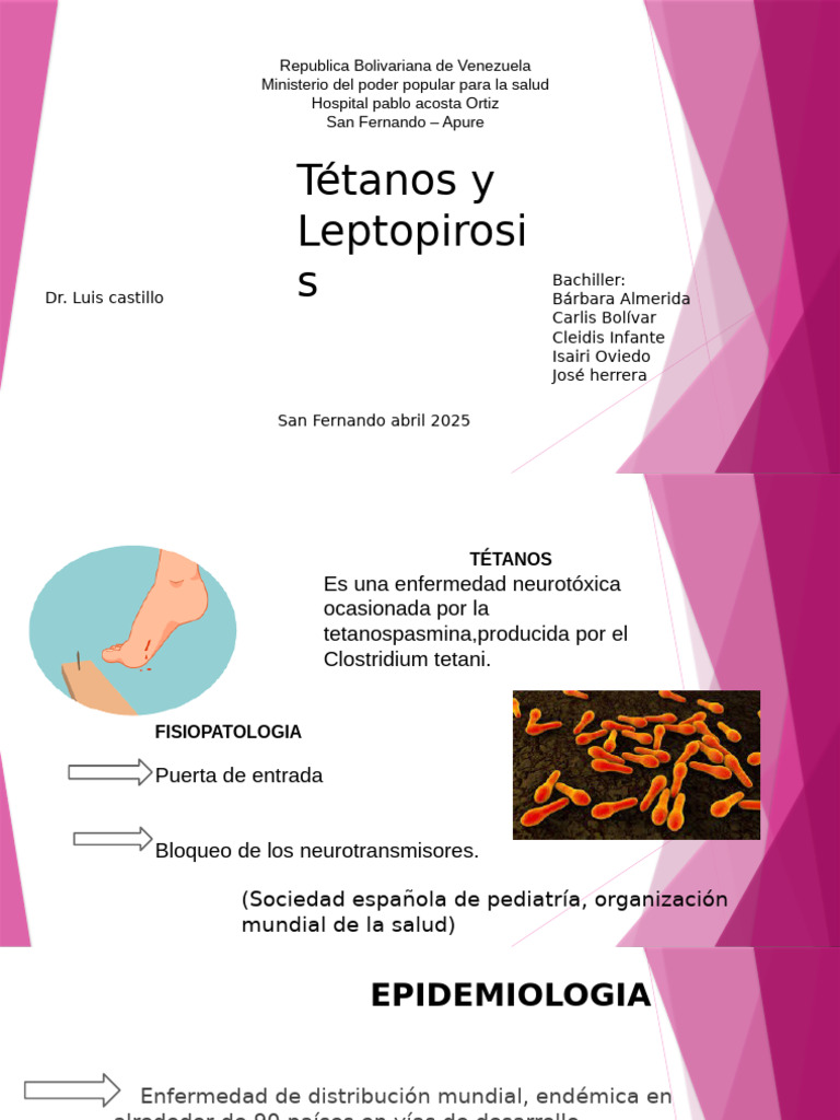 Tétanos y Leptospirosis: Diagnóstico y Tratamiento | PDF | Inmunología ...