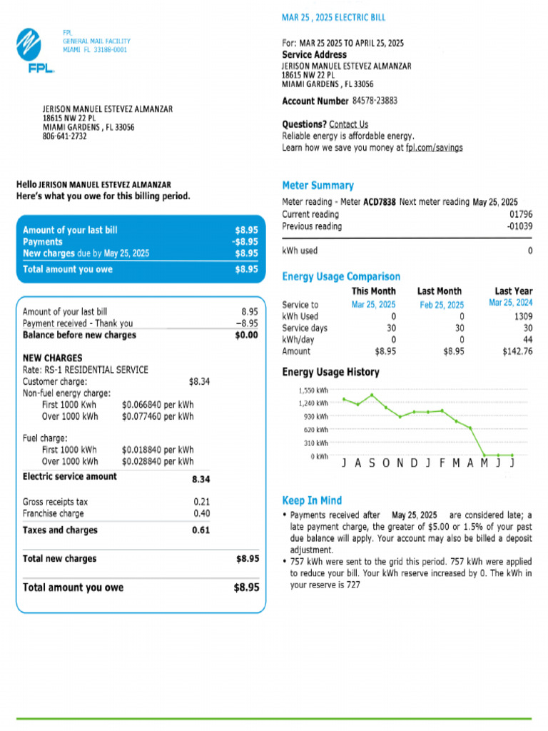 Electric Bill Florida | PDF