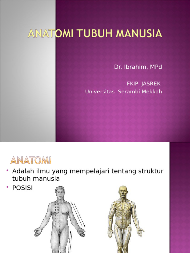 Struktur dan Fungsi Kerangka Manusia | PDF