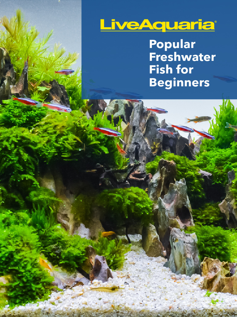 Beginner Freshwater Fish Guide | PDF | Aquarium | Fish And Humans