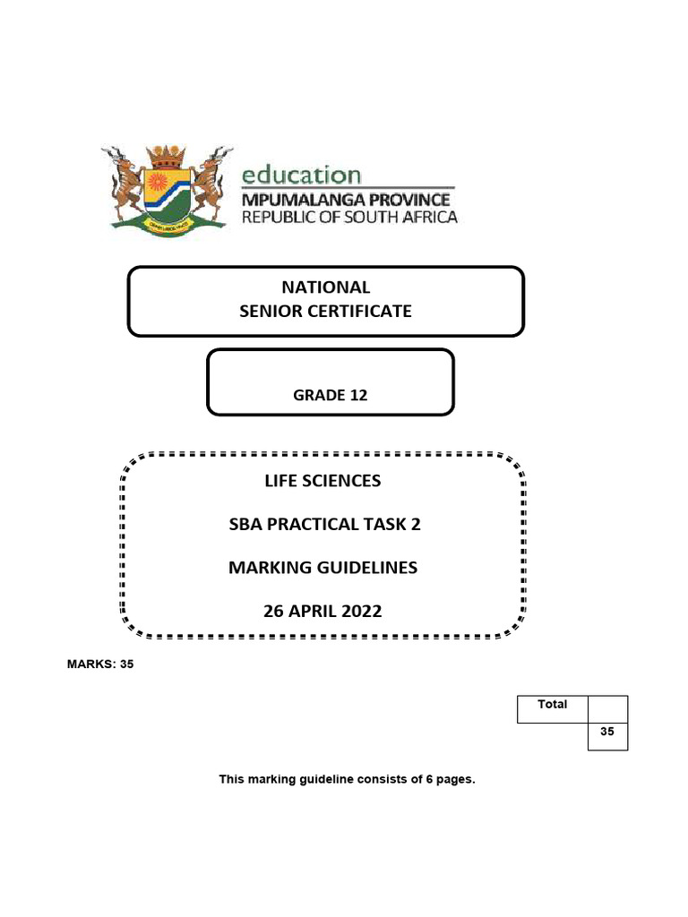(F) Grade 12 Sba Practical Task 2 Mg-1 | PDF