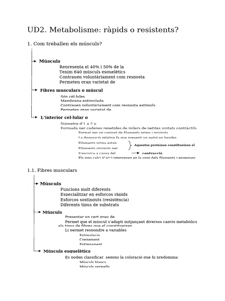 UD2. Metabolisme - Ràpids o Resistents | PDF